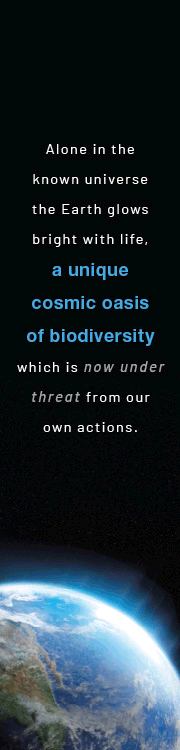 The Shape of Her by Rowan Somerville - review by Jonathan Beckman